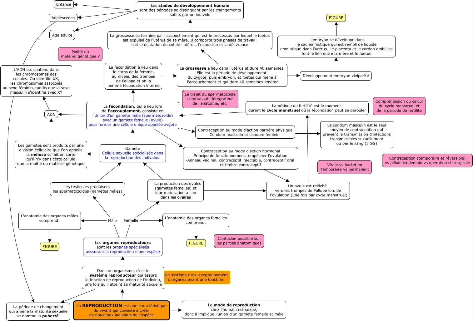 Trame conceptuelle - Daigle-Sindon-Desmarais
